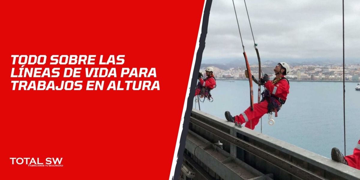 Todo sobre las Líneas de Vida para Trabajos en Altura - Total Systems Wire